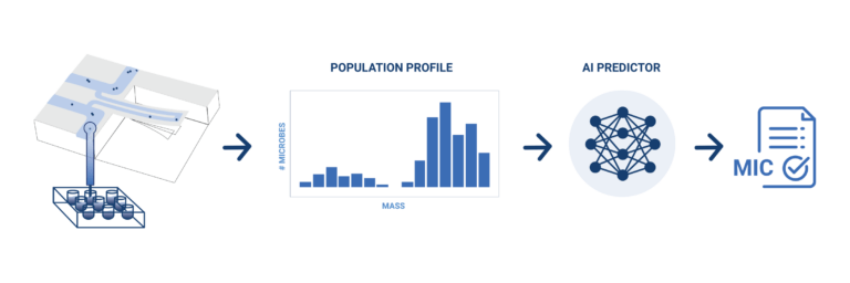 Rapid AST Test Results | LifeScale from Affinity Biosensors